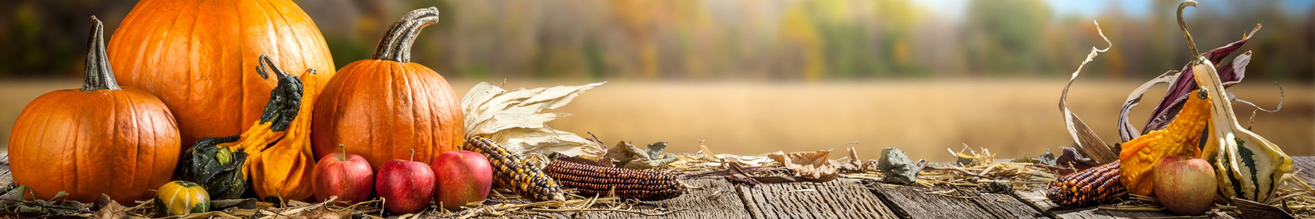 Tim Collier – Cape Coral, FL State Farm® Agent