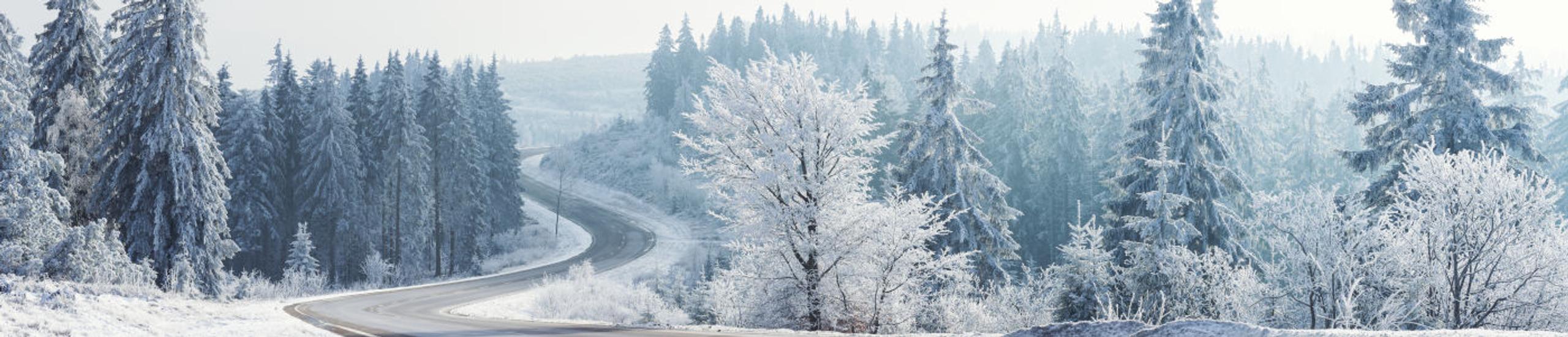 OH Auto & Home Insurance Agent Jason Caples - State Farm®