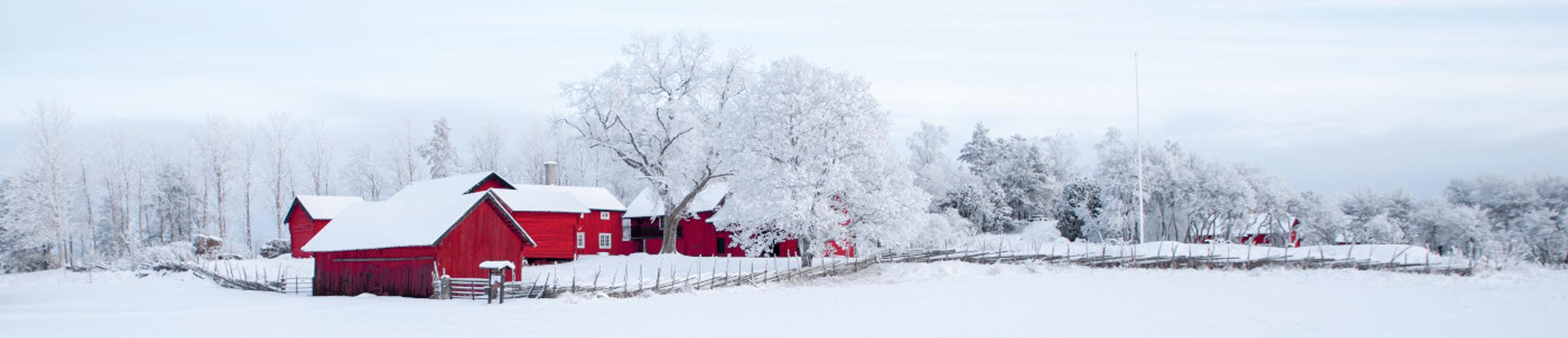 Insurance Agent Chad Cruse in Moline IL – State Farm®