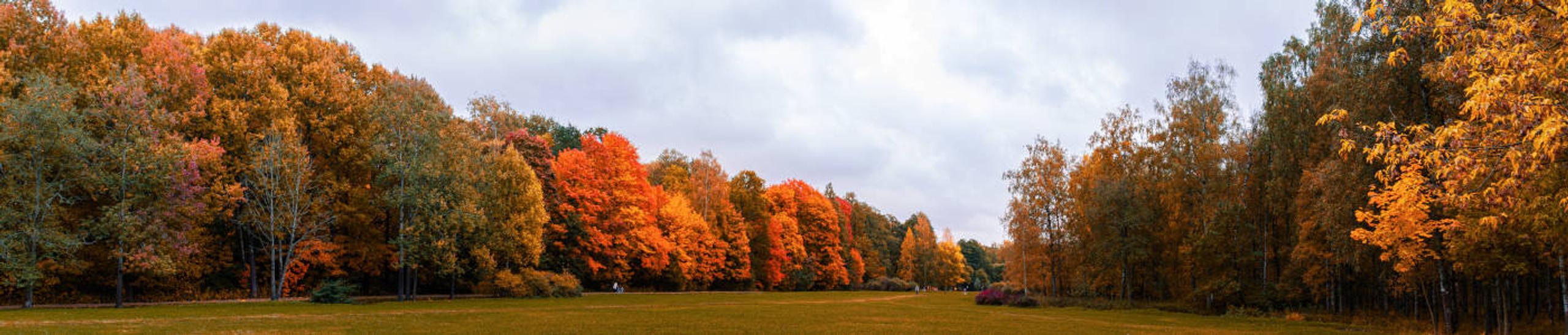 State Farm Insurance Agent D C Clement in Bowling Green KY