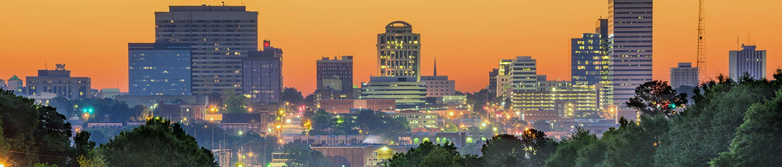 State Farm Agent Larry Lucas in SC, GA, NC