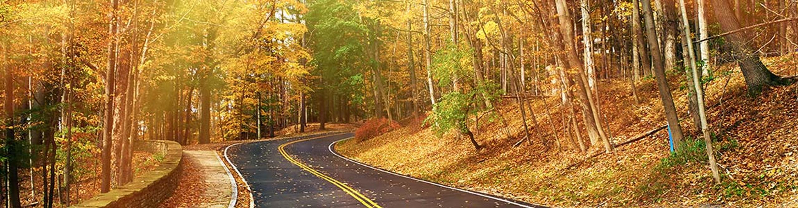 MI Auto & Home Insurance Agent David DeLuca - State Farm®