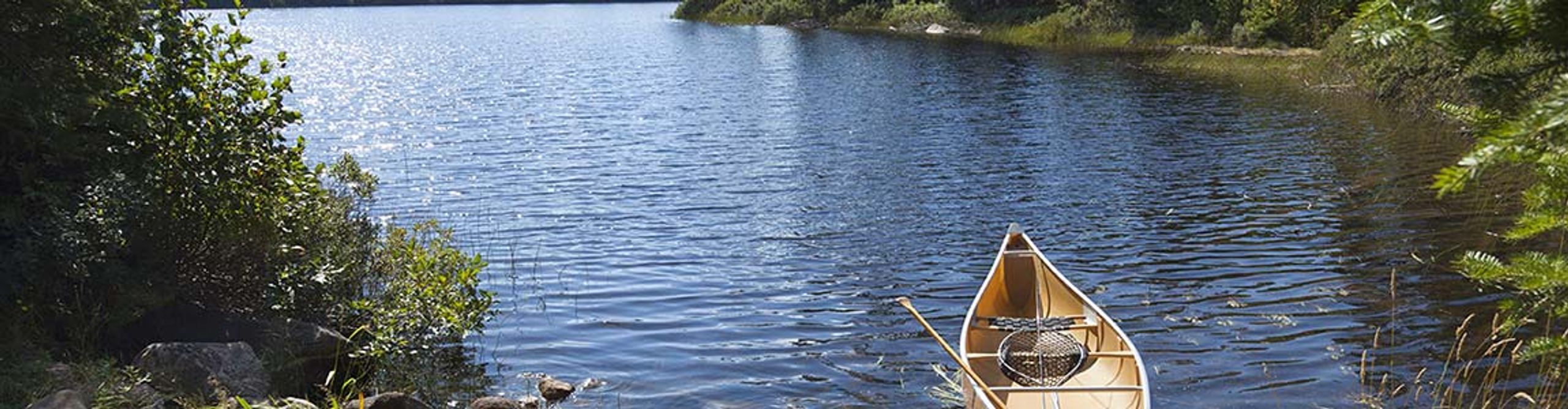 Home, Auto Insurance & More in NC | Tim Good – State Farm®