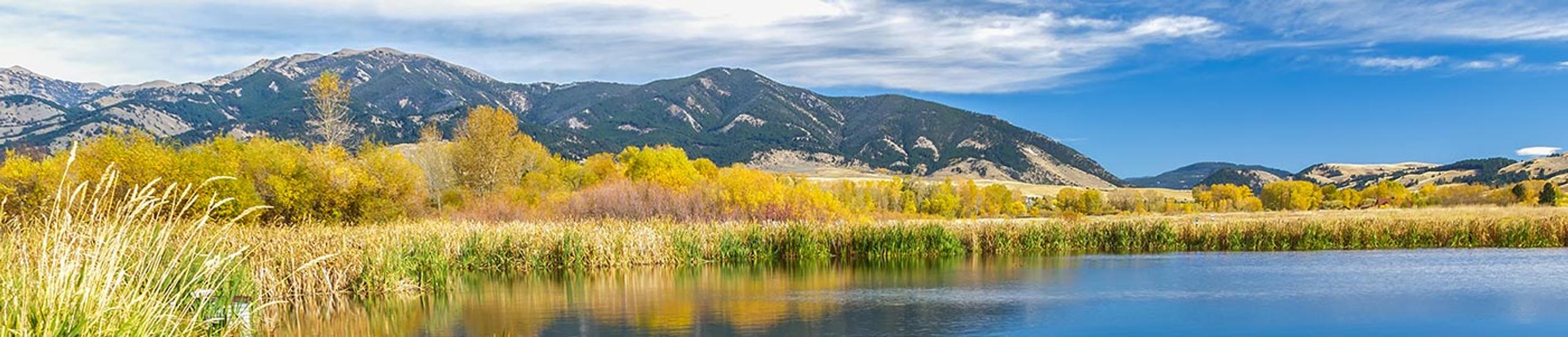Home, Auto Insurance & More in MT | Larry Bitterman – State Farm®