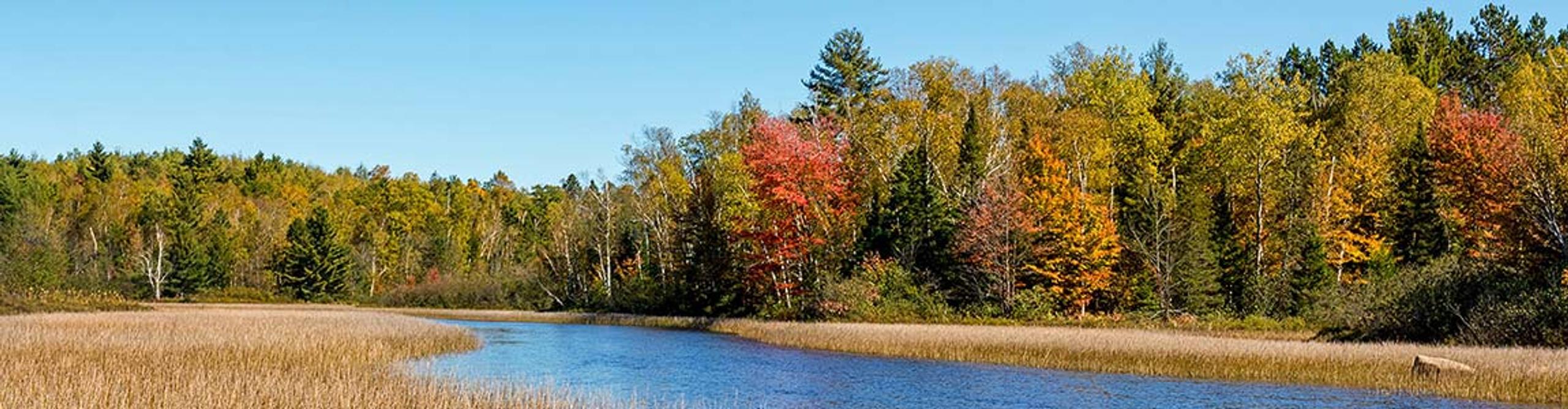 Insurance Agent Tim Reedy in Spooner WI – State Farm®