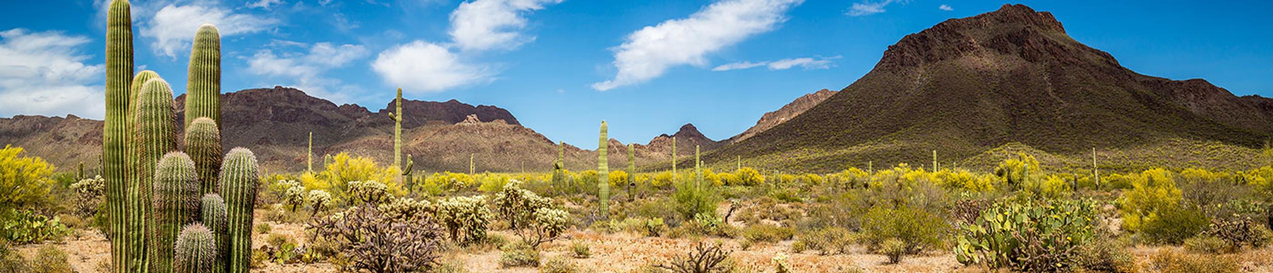 State Farm Agent Tucson Arizona
