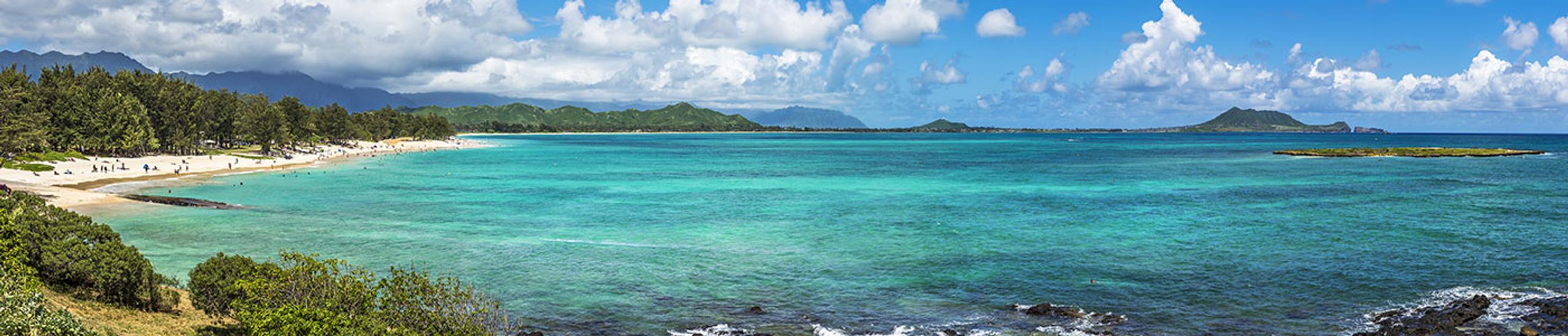 Kailua HI State Farm Insurance Agent Matthew Kendig