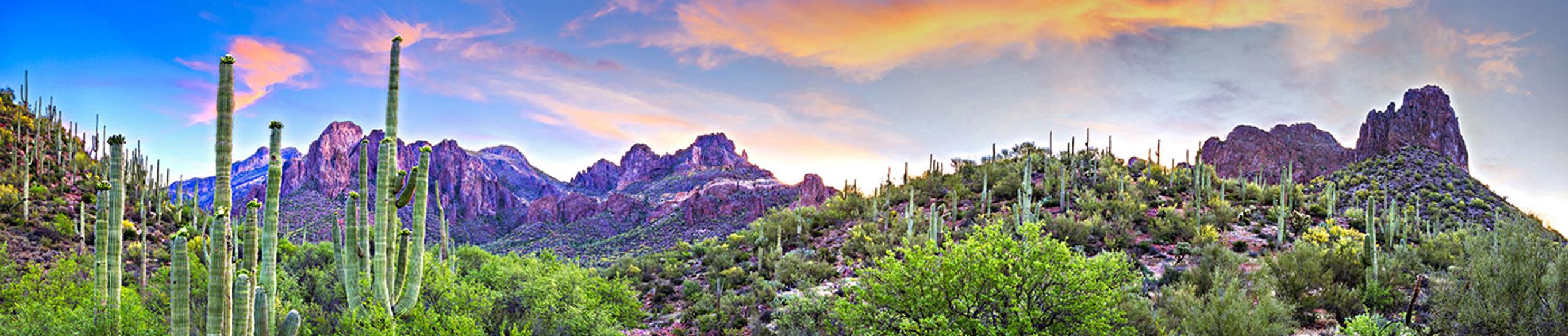 AZ Auto & Home Insurance Agent David Dorman - State Farm®