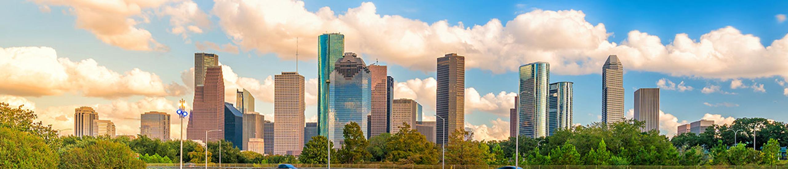 TX Auto & Home Insurance Agent Hank Chol - State Farm®