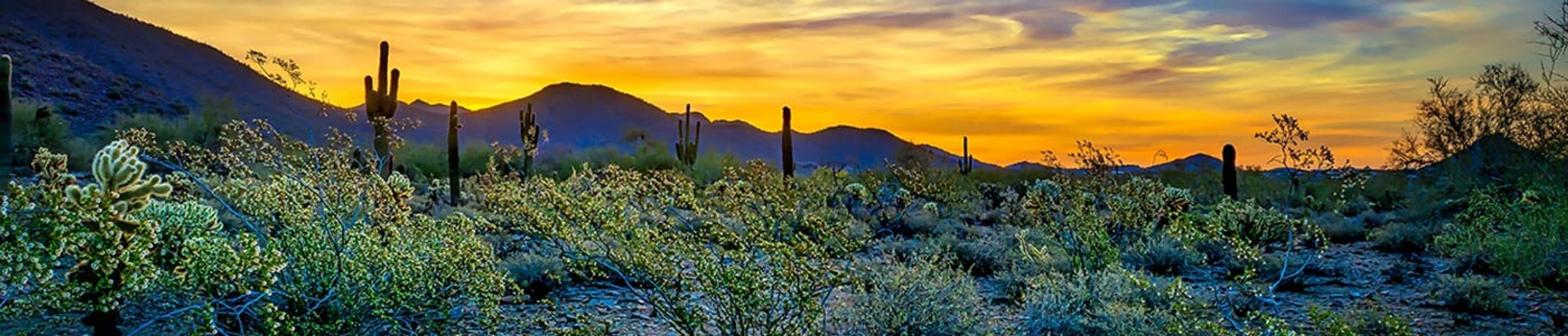 Tempe AZ State Farm Insurance Agent Patrick Minnis