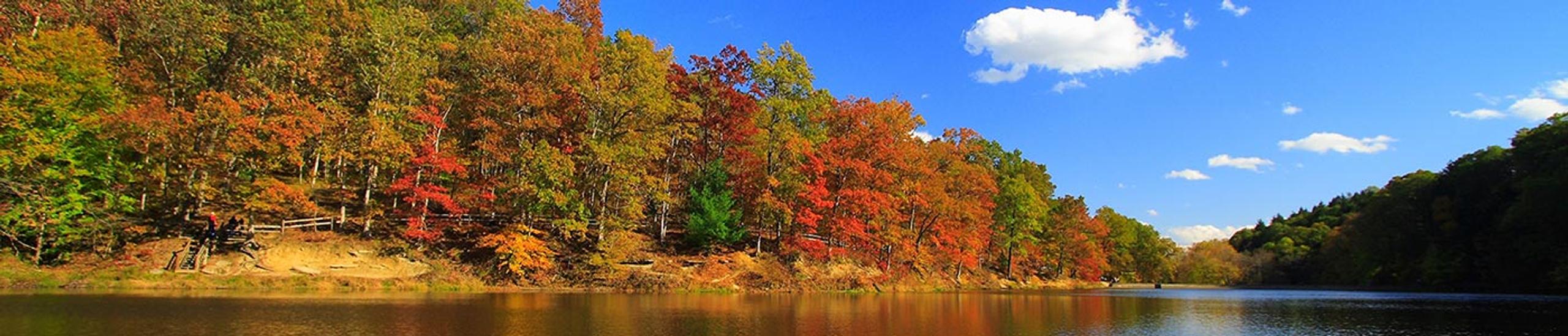 IN Auto & Home Insurance Agent Lisa Allen - State Farm®