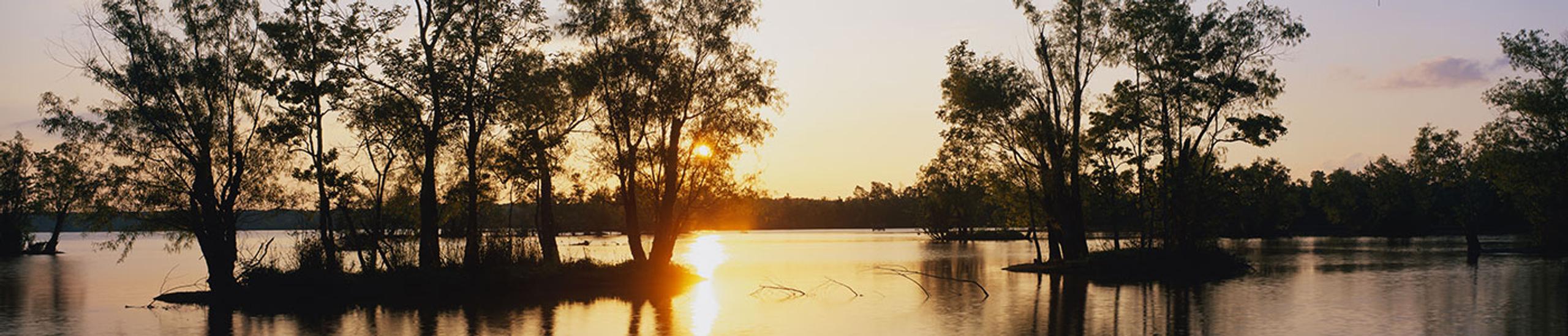 LA Auto & Home Insurance Agent Blake Barbo - State Farm®