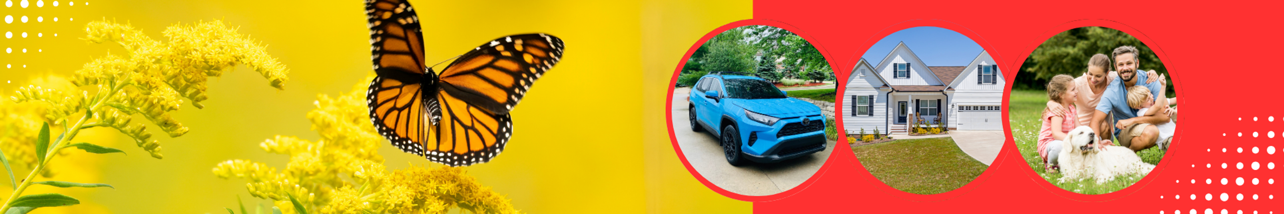 Home, Auto Insurance & More in IL | Michelle Twitchell – State Farm®