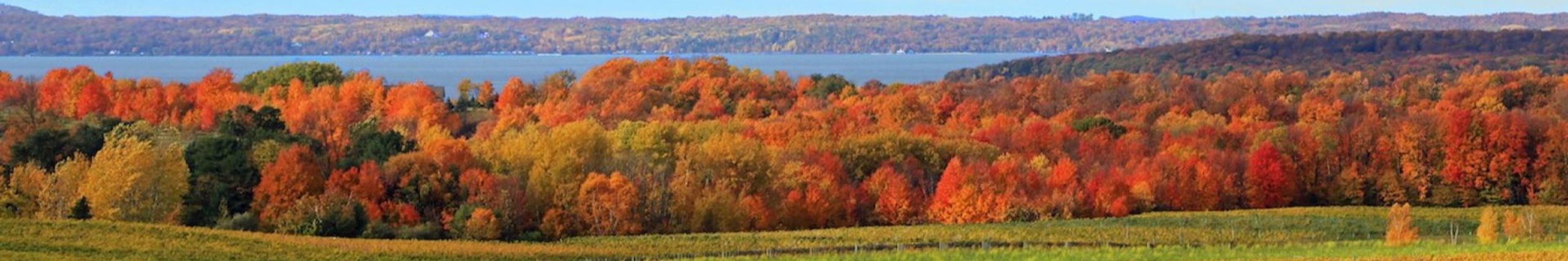 Susan Rauser – Traverse City, MI State Farm® Agent