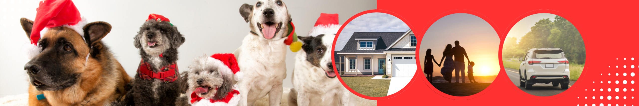 AZ Auto & Home Insurance Agent Lisa RO Ross - State Farm®