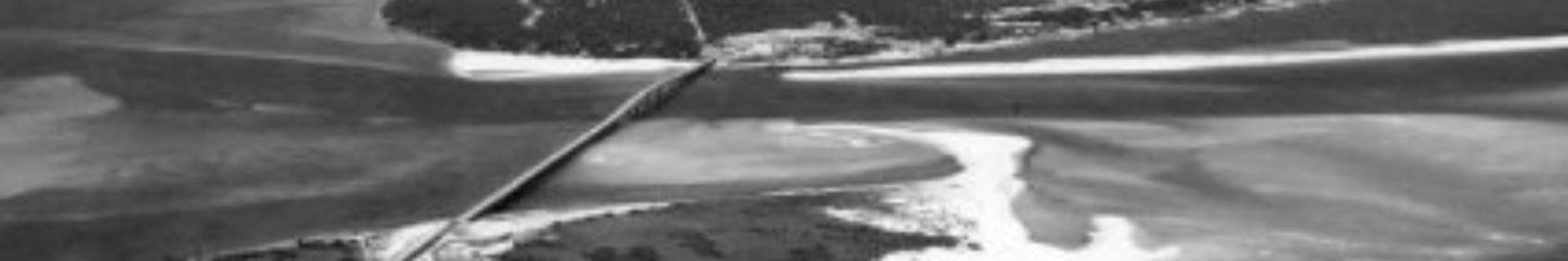 FL Auto & Home Insurance Agent Jim Liufau - State Farm®