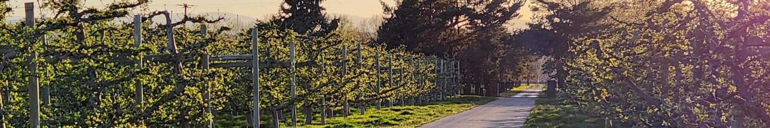 State Farm® Yakima | Auto, Home, Life Insurance Agency