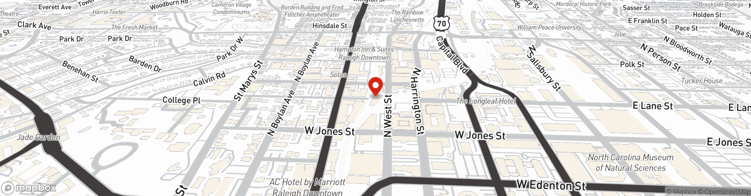 Raleigh NC State Farm Insurance Agent Carmen Ritz