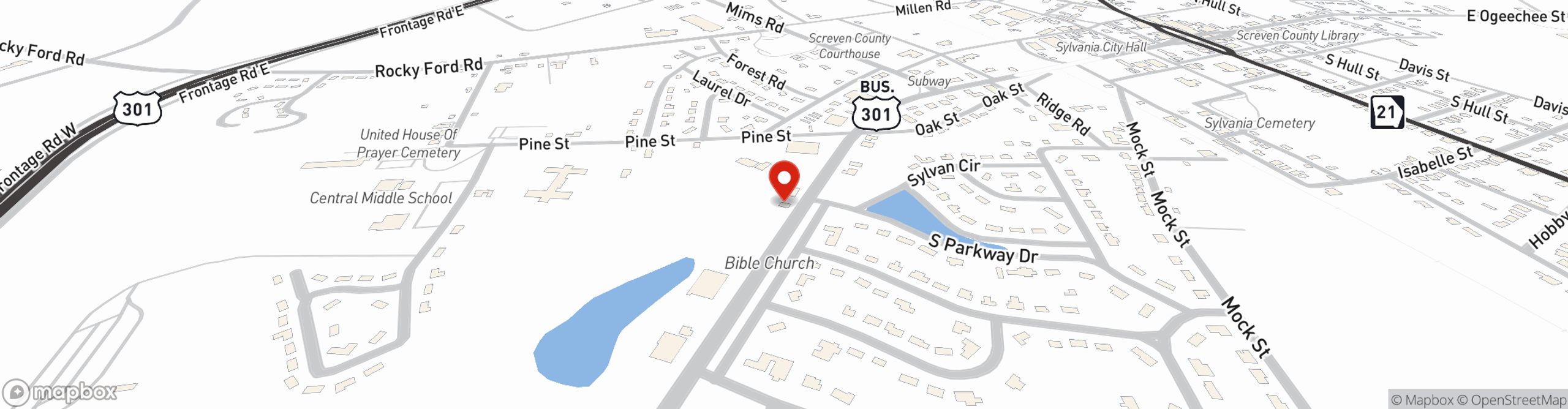 Insurance Agent Darlene Anthony in Sylvania GA – State Farm®