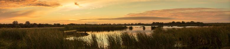 FL Auto & Home Insurance Agent Todd Perry - State Farm®