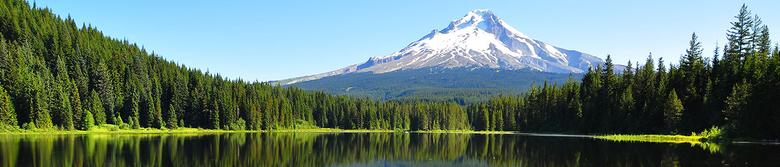 OR Auto & Home Insurance Agent Kelly Manning - State Farm®