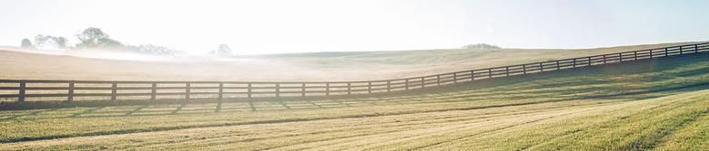 TX Auto & Home Insurance Agent Jimmy Thompson - State Farm®