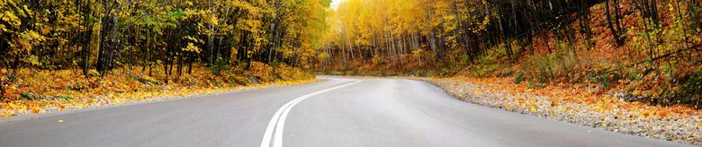 Home, Auto Insurance & More in CA | Erika Novoa – State Farm®