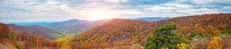 Home, Auto Insurance & More in TN | Ron Mathews – State Farm®