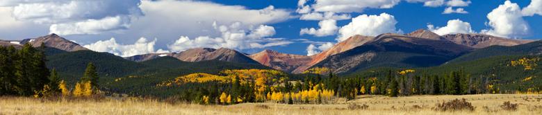 Insurance Agent Jenni King in Colorado Spgs CO – State Farm®