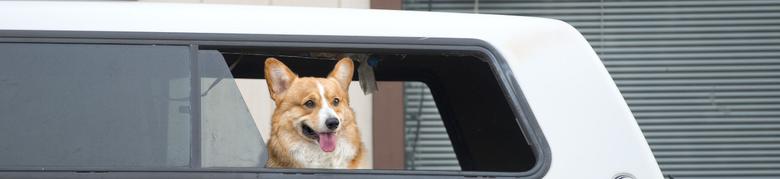 State Farm Insurance Agent Liz Berry in Simpsonville SC