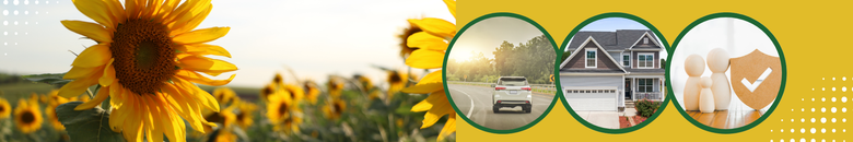 Insurance Agent Pete Mathison in New Hyde Park NY – State Farm®