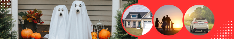 AZ Auto & Home Insurance Agent Lisa RO Ross - State Farm®